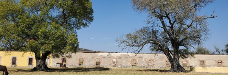 Hacienda San Miguel Tepalca Haciendas de Mexico - Haciendas de Mexico